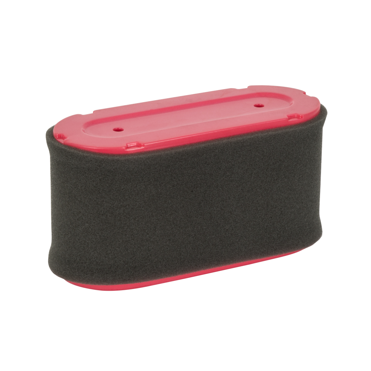 Toro Cartridge Air Filter and Pre-Filter (AIR8042) | GYC